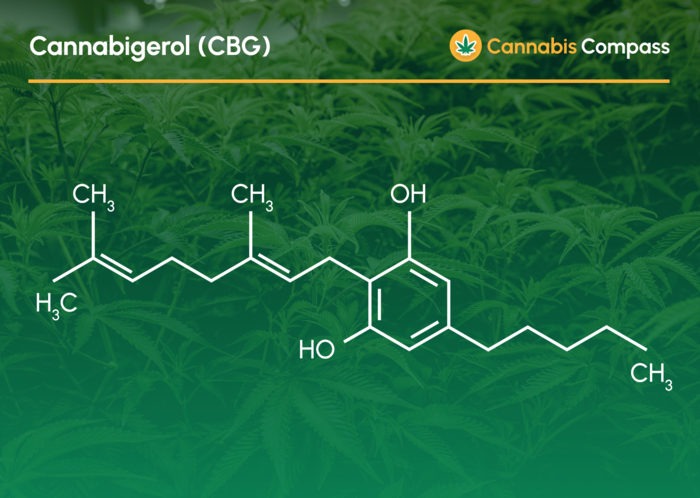 CBG Definition | Cannabis Compass